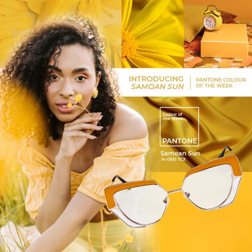 Fashion Pantone Colours – Camarena Porter Optometrist (Spectacle World)