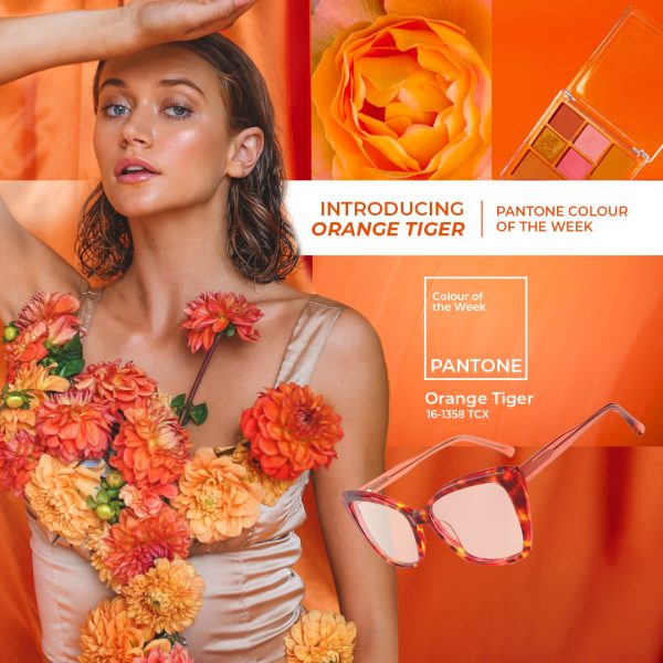 Fashion Pantone Colours – Camarena Porter Optometrist (Spectacle World)